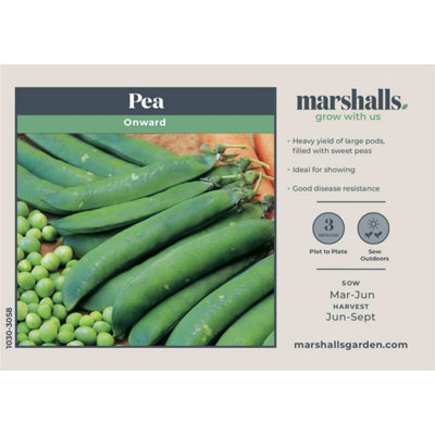 MARSHALLS GARDEN PEA SEEDS 'ONWARD' SWEET LARGE-PODDED FUSARIUM ...