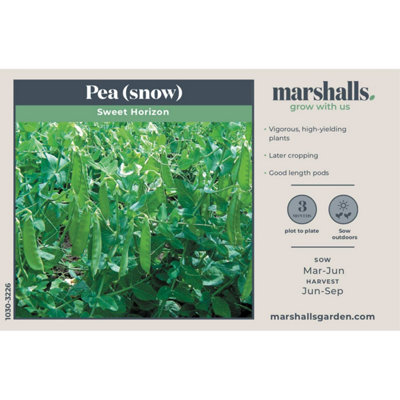 Marshalls Garden Pea Seeds Snow 'Sweet Horizon' High-yield sweet peas ...