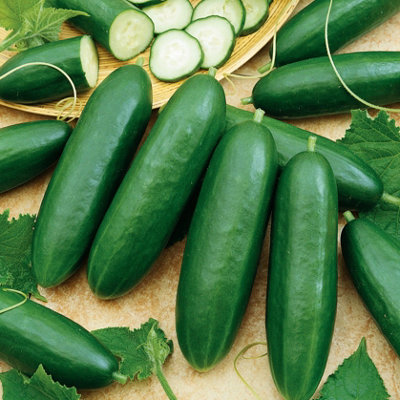 Marshalls Garden Runner Bean Seeds 'Moonlight' - RHS recommended ...