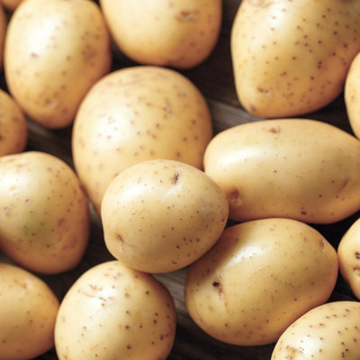 MARSHALLS GARDEN SEED POTATO 'SHARPE'S EXPRESS' 2KG TUBERS