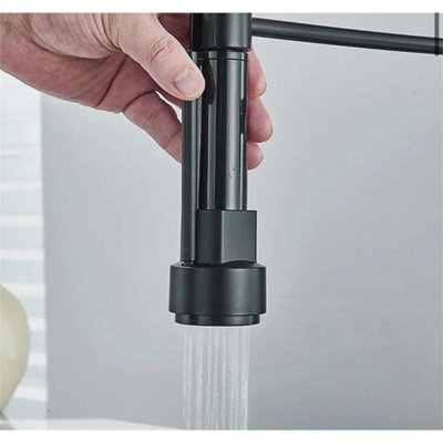 Matte Black Kitchen Mixer Tap with Pull Out Spray & Dual Spout
