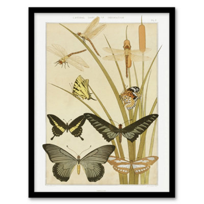 Maurice Pillard Verneuil Framed Wall Art Butterflies and Dragonflies ...