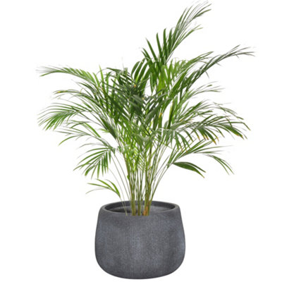 Medium Grey Symmetry Stripe Fibre Clay Indoor Outdoor Summer Flower ...