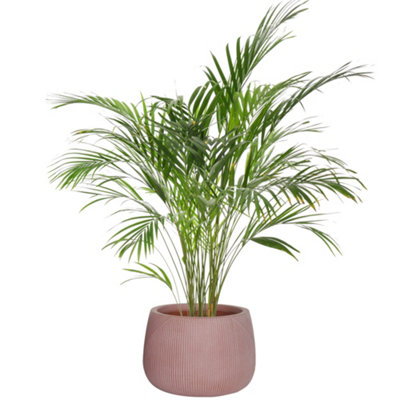 Medium Terracotta Symmetry Stripe Fibre Clay Indoor Outdoor Summer ...