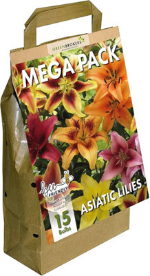 Mega Pack Lilies 15 Mixed Summer Flowering Bulbs Bee & Butterfly ...