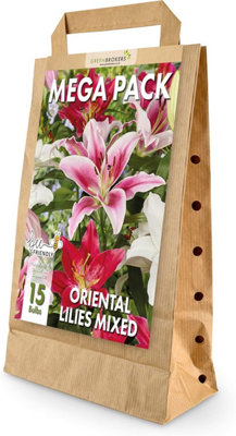 Mega Pack - Oriental Lilies Mixed