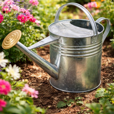 Metal Watering Can with Brass Rose 2 Gallon Steel Watering Can