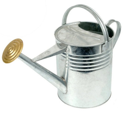 Metal Watering Can with Brass Rose 2 Gallon Steel Watering Can