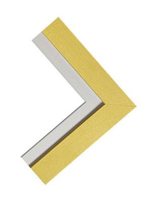 Metro Gold Frame with Ivory Mount A4 Image Size 9 x 6