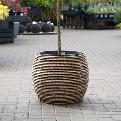 Mica Plant Pot - Stylish Dark Brown Rattan Cane - Large