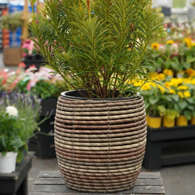 MICA PLANT POT - STYLISH DARK BROWN RATTAN CANE - MEDIUM