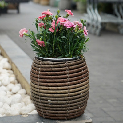 Mica Plant Pot - Stylish Dark Brown Rattan Cane - Small