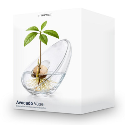 Mikamax Modern Glass Avocado Propagation Vase - Clear