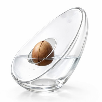 Mikamax Modern Glass Avocado Propagation Vase - Clear