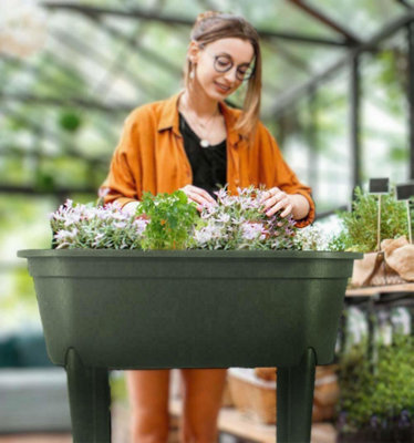 Mini Greenhouse Propagator Legs Outdoor Raised Planter Garden ...