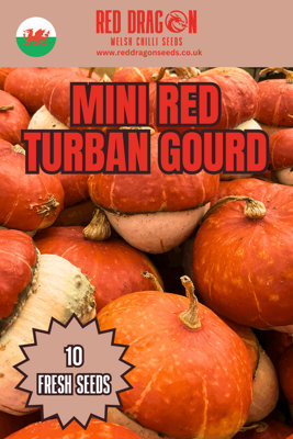 Mini Red Turban Gourd Seeds - 10 Fresh Seeds