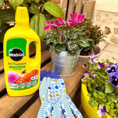 Miracle Gro All Purpose Liquid Plant Food 800mL NPK 7 3 5 for Pots ...
