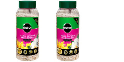 Miracle-Gro Azalea, Camellia & Rhododendron Plant Food 900G Pack of 2