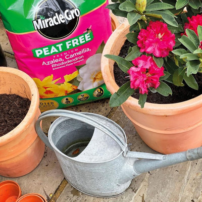Miracle Gro Azalea Ericaceous Pot Compost Camellia Rhododendron Peat ...