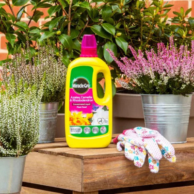 Miracle Gro Ericaceous Liquid Plant Food 800ml NPK 7 3 5 Ideal for ...