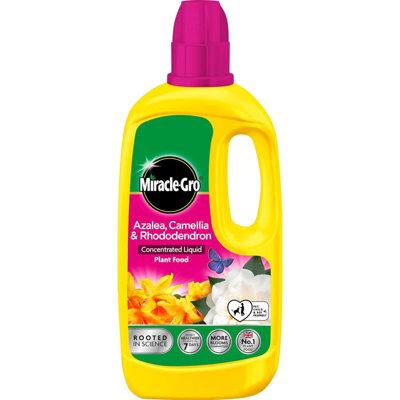 Miracle Gro Ericaceous Plant Food 800ml Liquid Feed for Azaleas ...