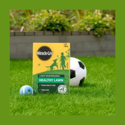 MIRACLE-GRO HEALTHY LAWN 140M2 LAWN FEED FOR GREENER STRONGER GRASS ...