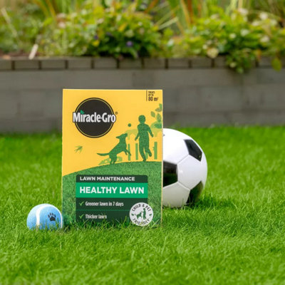 Miracle Gro Healthy Lawn 2kg Concentrated Lawn Food Fertilizer for ...