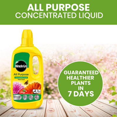 Miracle Gro Liquid All Purpose Plant Food 800ml Fast Acting Nutrients ...