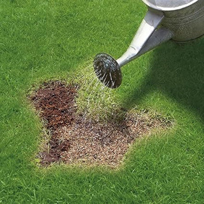 Miracle Gro Patch Magic Grass Seed 1015g Jug Lawn Repair for Bare ...