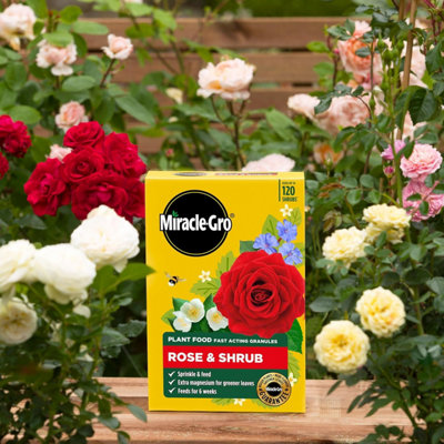 MIRACLE-GRO ROSE AND SHRUB PLANT FOOD 3KG CARTON FOR CONTINUOUS FEEDING ...