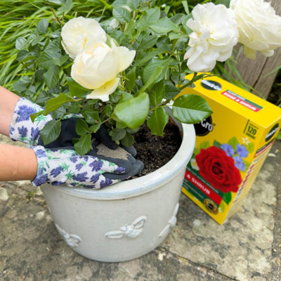 MIRACLE-GRO ROSE AND SHRUB PLANT FOOD 3KG CARTON FOR CONTINUOUS FEEDING ...