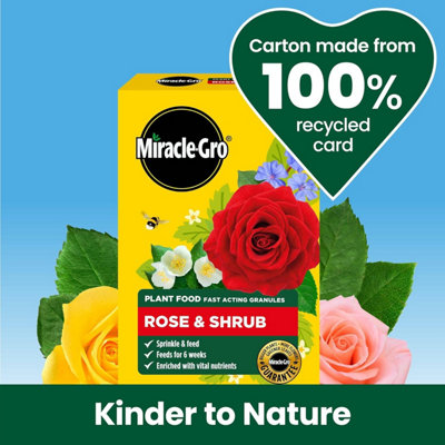 Miracle-Gro Rose and Shrub Plant Food 3kg Carton for Continuous Feeding ...