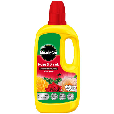Miracle Gro Rose and Shrub Plant Food 800ml Concentrate for Stronger ...