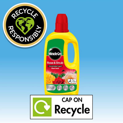 Miracle Gro Rose and Shrub Plant Food 800ml Concentrate for Stronger ...