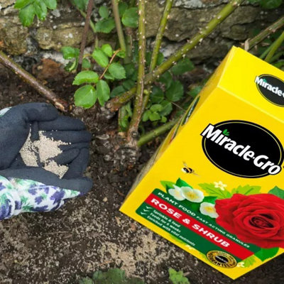 Miracle-Gro Rose & Shrub Plant Food 3kg Carton 6 Months Feed NPK 22-7 ...