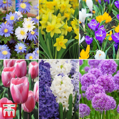 Mixed Spring Bulb Collection 160 Bulbs