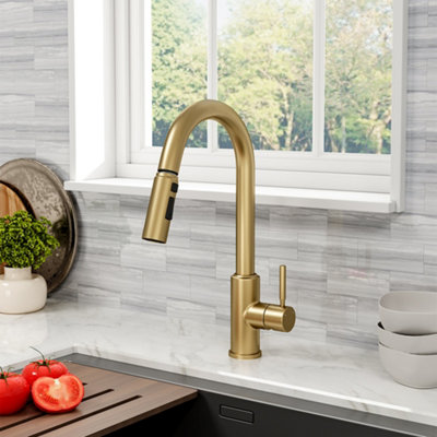 Modern Single Stainless Steel Handle Kitchen Tap with Pull-Out Hose ...