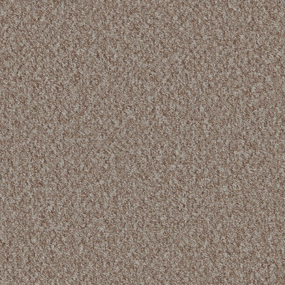 Mojave Loop Carpet by Remland (Beech Nut, 3m x 4m)