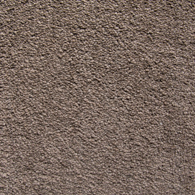 Molto Bella Luxury Deep Pile Carpet by Remland (Casa, 4m x 5m)