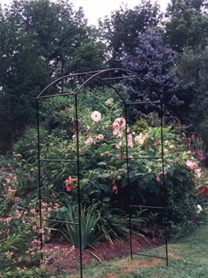Monet Arch Hardstanding, Garden Metal Arch for Climbers, Covered Garden ...