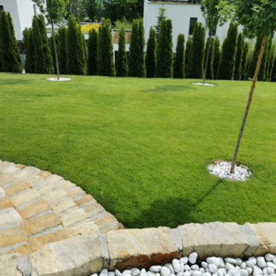 MOOWY Power Lawn Fast-Growing Grass Seed (500 m²) - Hard-Wearing Lawn ...