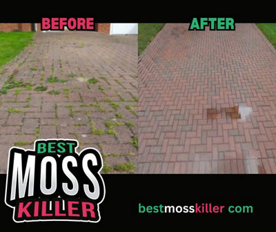 MOSS Killer 5L Concentrate Strongest on the Market patio cleaner