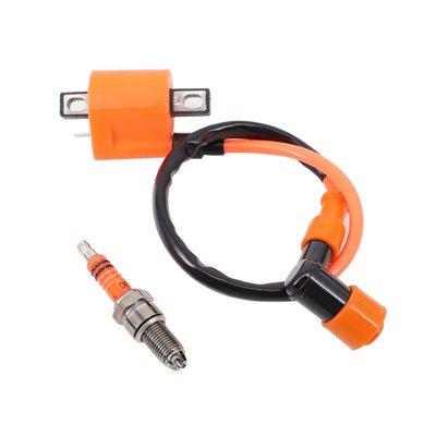 Motorcycle Ignition Coil with Spark Plug D8TC Replacement for 4 Stroke ...