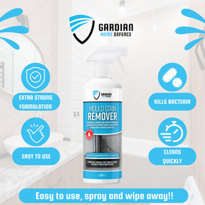 Mould Remover Spray - Powerful and Advanced Mould Treatment