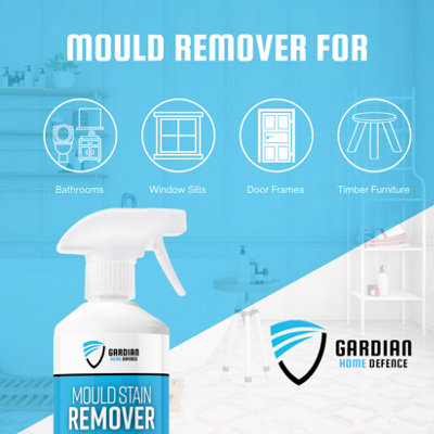 Mould Remover Spray - Powerful and Advanced Mould Treatment