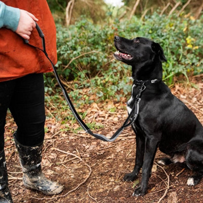 Mountain Paws Extra Stretch Dog Lead