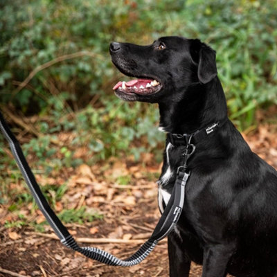 Mountain Paws Extra Stretch Dog Lead