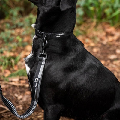 Mountain Paws Extra Stretch Dog Lead