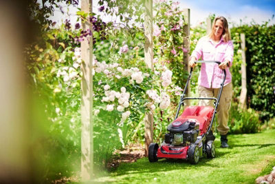Mountfield hp42 petrol lawn mower 41cm store