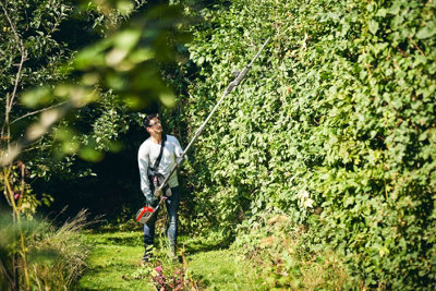 Mountfield MPH50Li Cordless Long Reach Hedgecutter Kit c/w 5Ah Battery ...